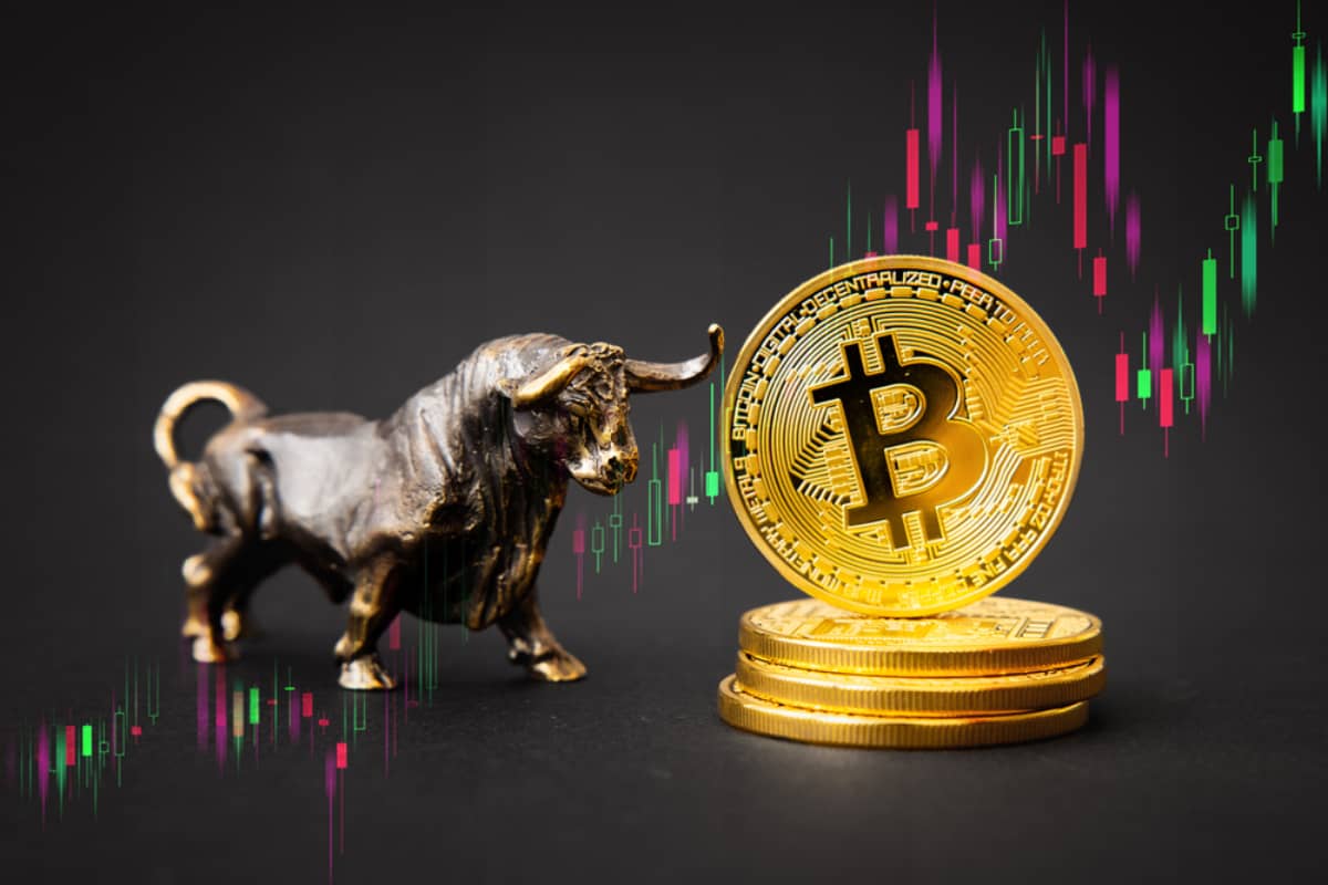 How to identify indicators for a bull market in crypto
