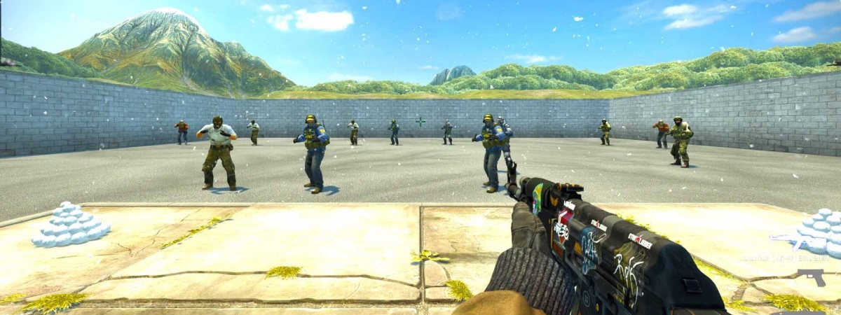 Shooting Like the Pros: Shooting and Aiming Tips