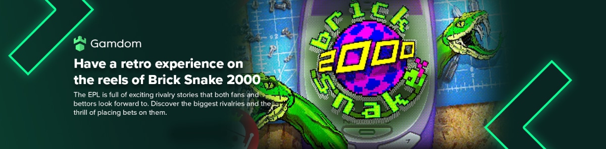 Have a retro experience on the reels of Brick Snake 2000